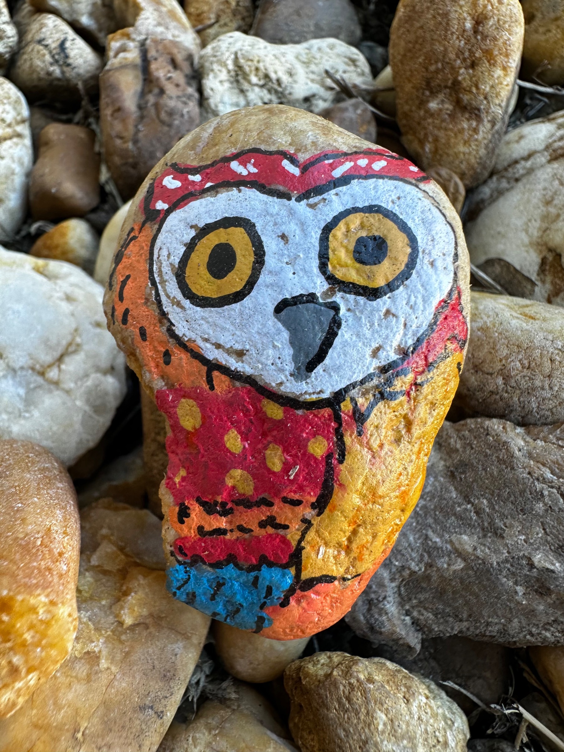 Owl - Go Rock Go
